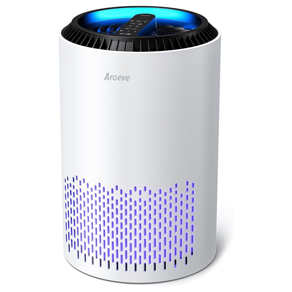 5 Best Air Purifiers Under 50 Feb. 2025 BestReviews