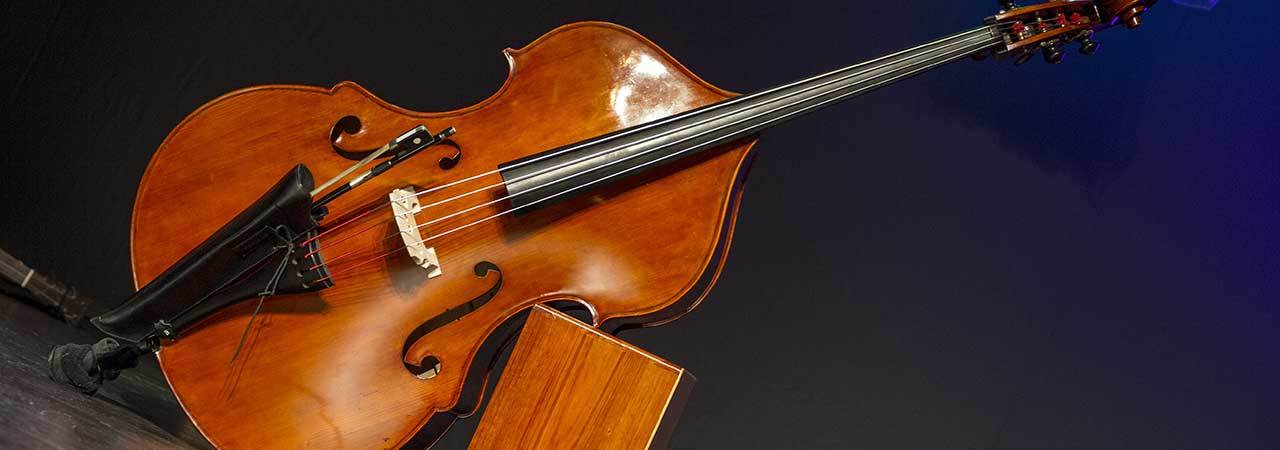5 Best Upright Basses - Oct. 2025 - BestReviews