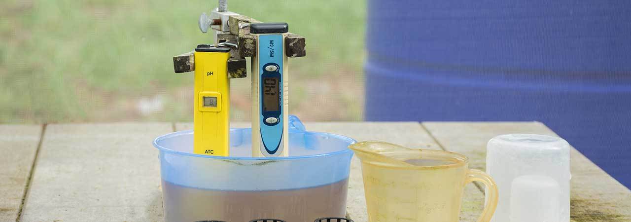 5 Best pH Meters - June 2026 - BestReviews