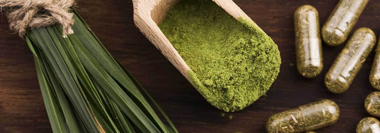 5 Best Intestinal Cleanse Supplements - June 2026 - BestReviews