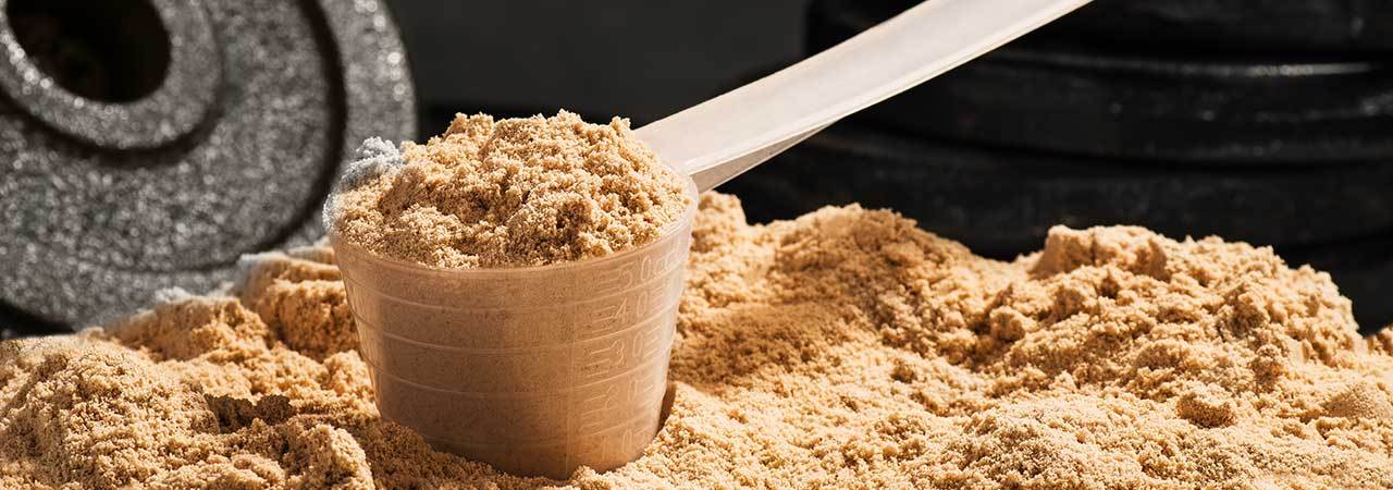 5 Best Whey Isolate Protein Powders - Nov. 2025 - BestReviews