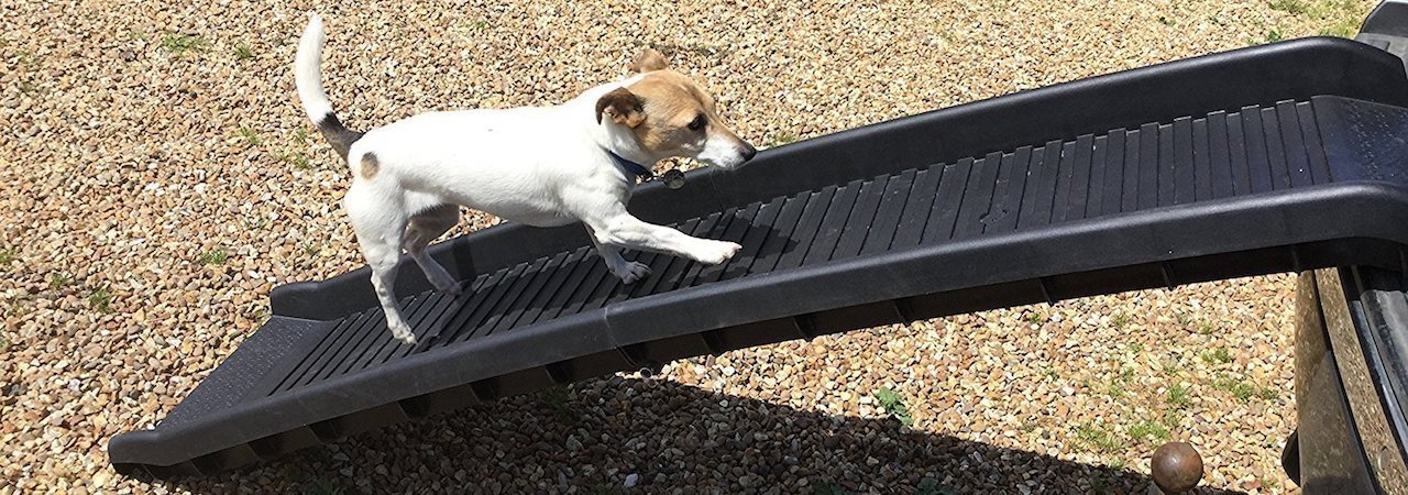 5 Best Pet Ramps - Oct. 2025 - BestReviews