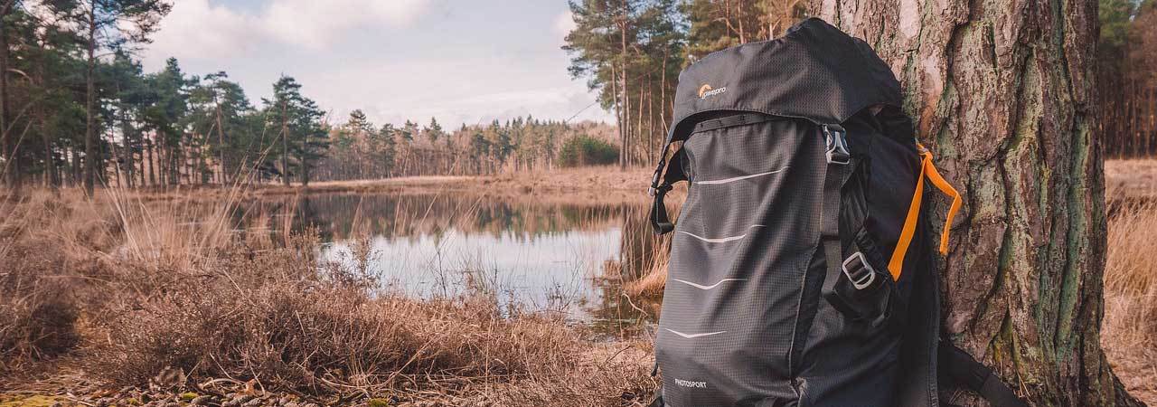 5 Best Ozark Trail Backpacks - Nov. 2025 - BestReviews