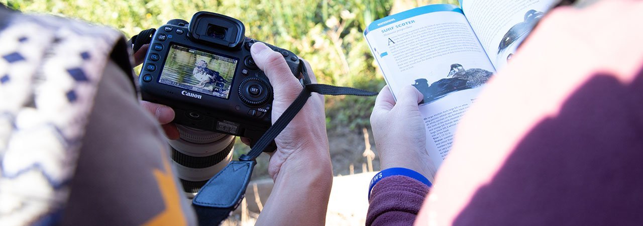 5 Best Bird Field Guides - Aug. 2025 - BestReviews