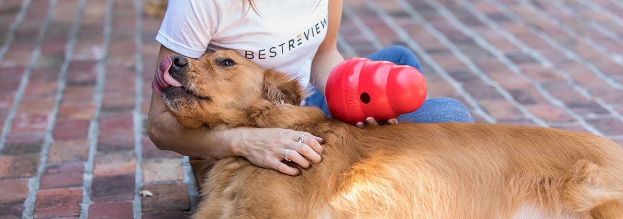 5 Best Calming Products for Dogs - June 2026 - BestReviews