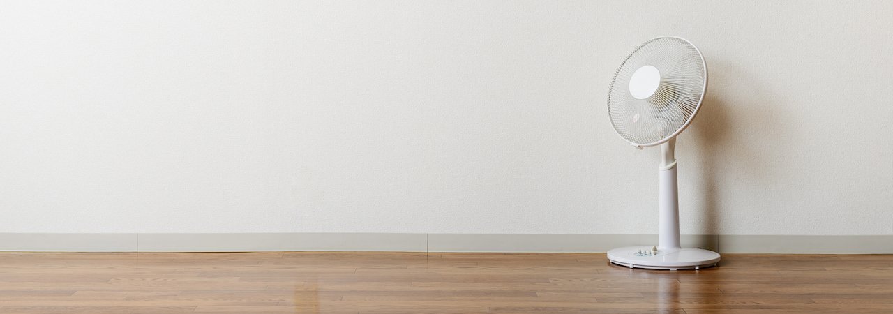 5 Best Oscillating Stand Fans - Dec. 2025 - BestReviews