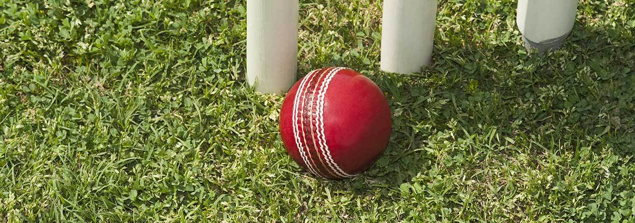 5 Best Cricket Balls - Jan. 2026 - BestReviews