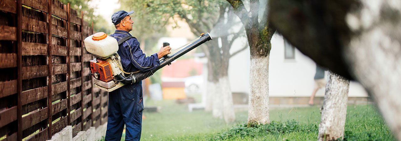 5 Best Backpack Sprayers - May 2026 - BestReviews