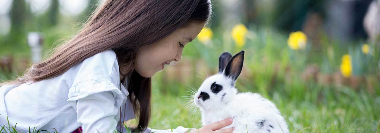 5 Best Rabbit Foods - Oct. 2025 - BestReviews