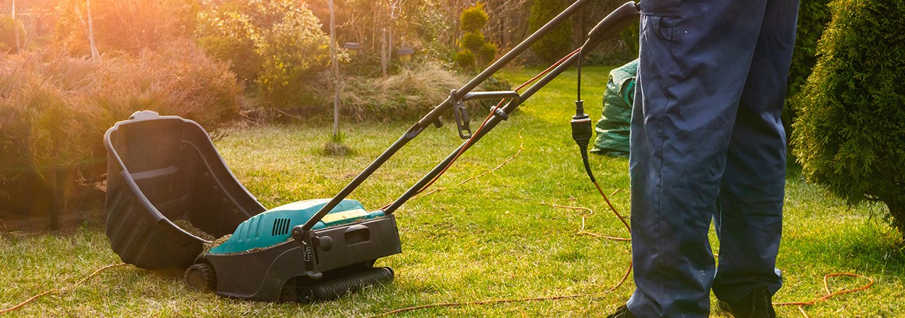 5 Best Lawn Scarifiers - June 2026 - BestReviews