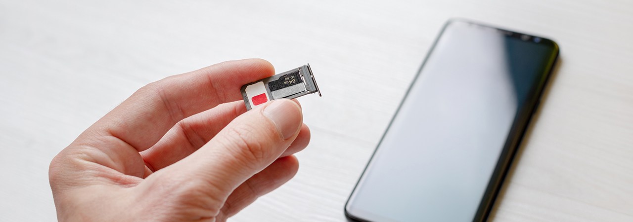 4 Best Memory Card Adapters - May 2026 - BestReviews