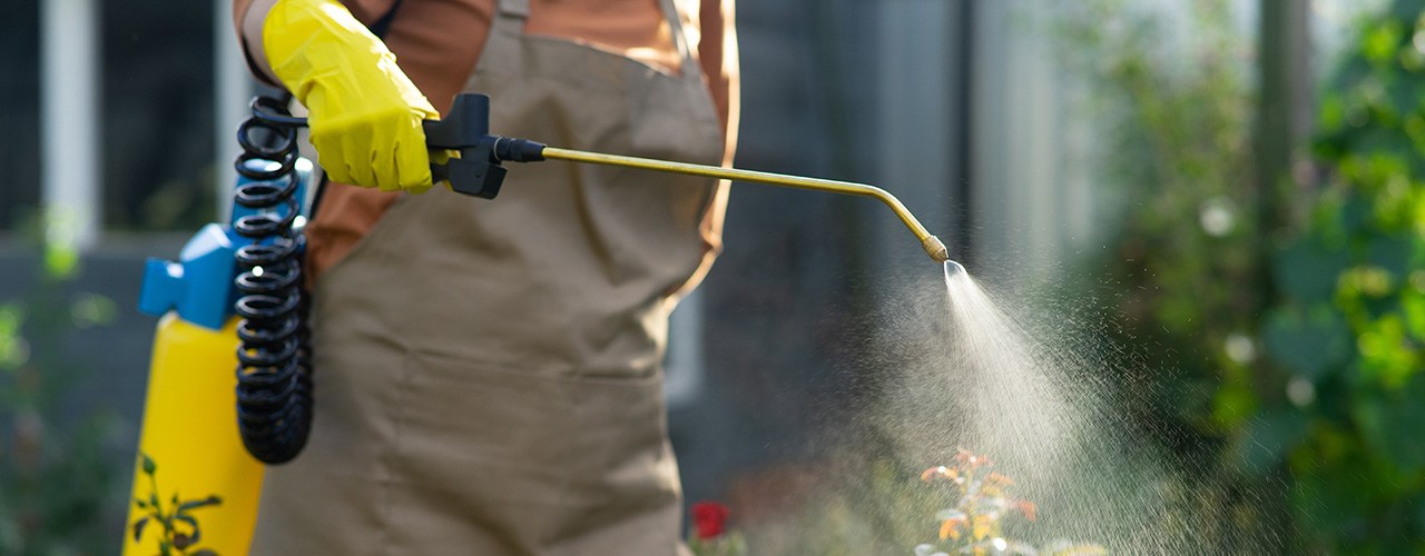 5 Best Garden Sprayers