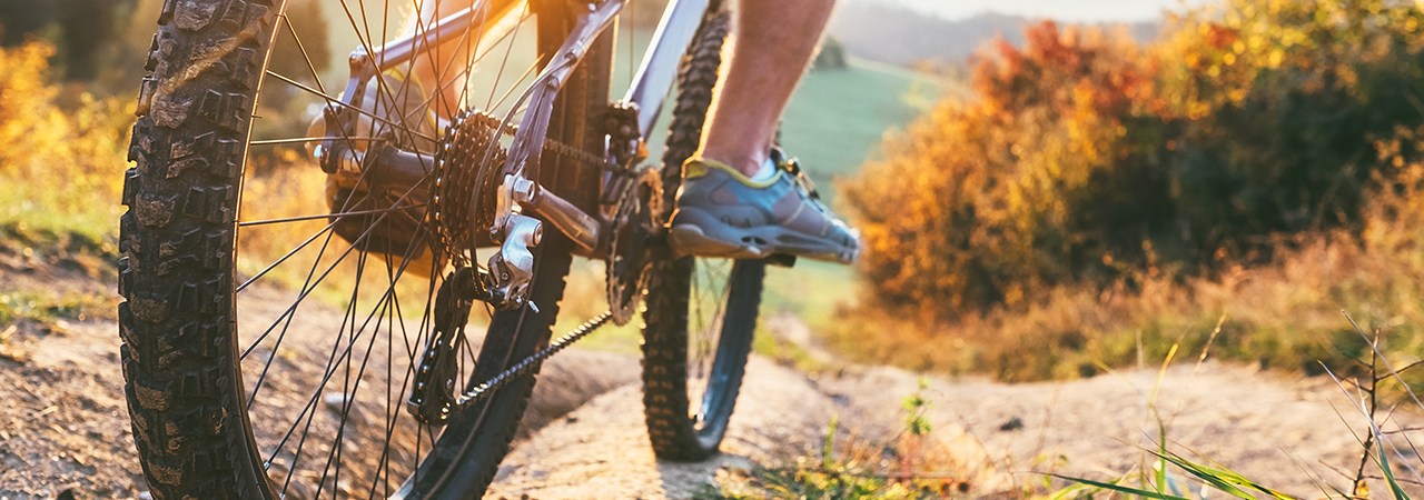 5 Best Bike Chains - Jan. 2026 - BestReviews