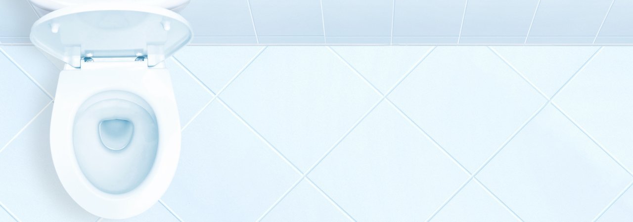 5 Best Toto Toilets - Jan. 2026 - BestReviews