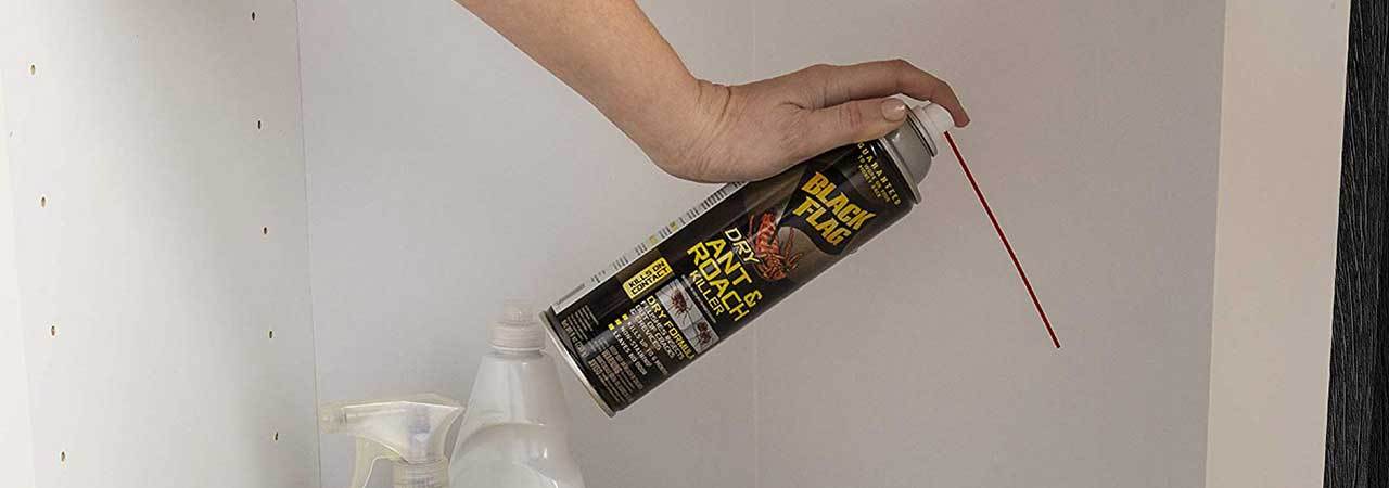 5 Best Indoor Ant Killers - Aug. 2025 - BestReviews