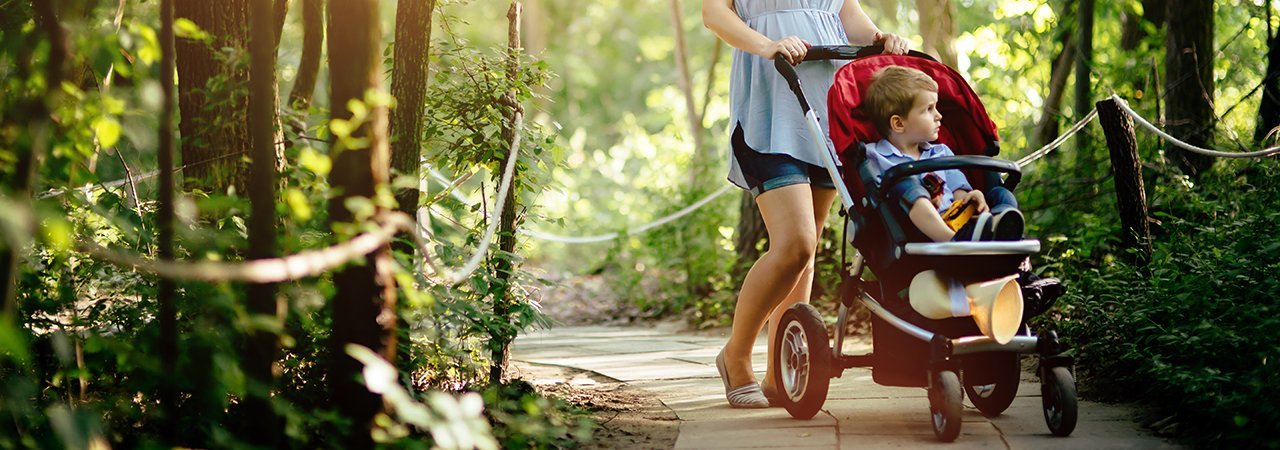 5 Best Strollers - June 2026 - BestReviews