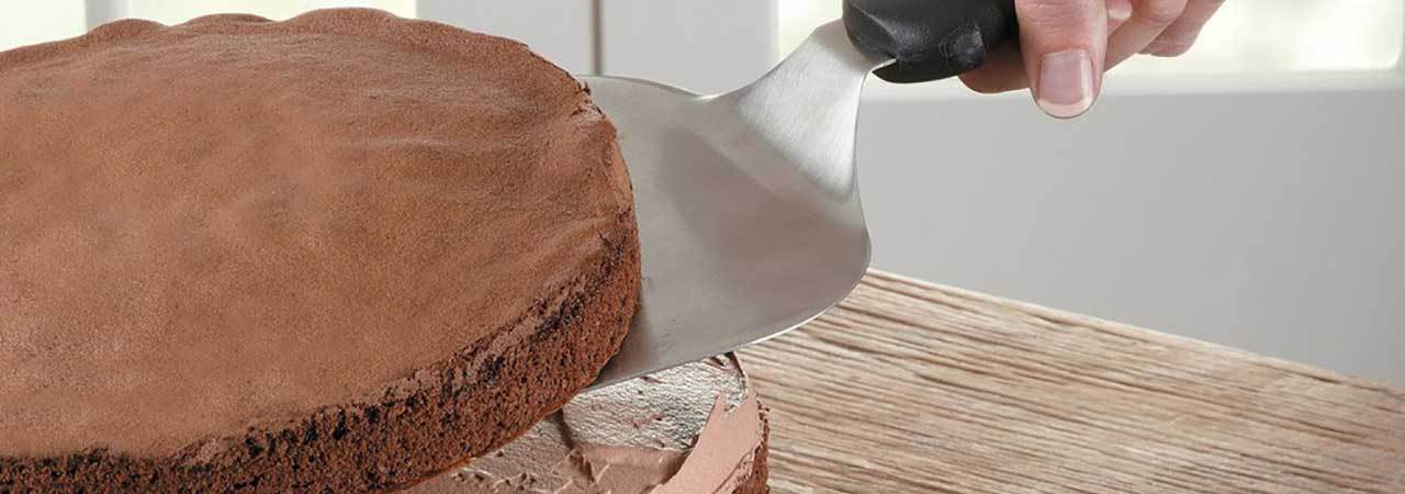 5 Best Cake Lifters - Nov. 2025 - BestReviews
