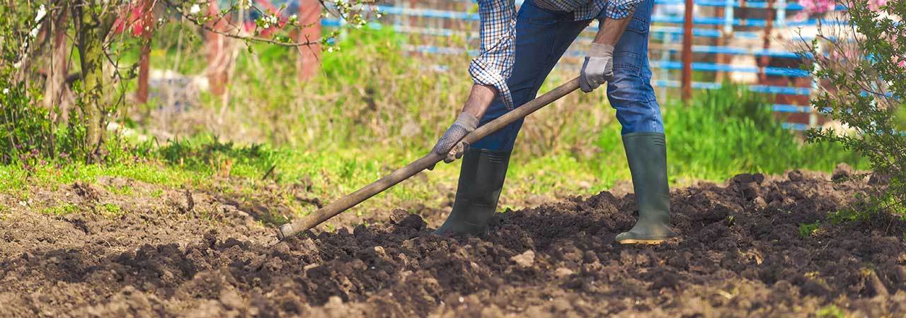 5 Best Garden Hoes - Oct. 2025 - BestReviews