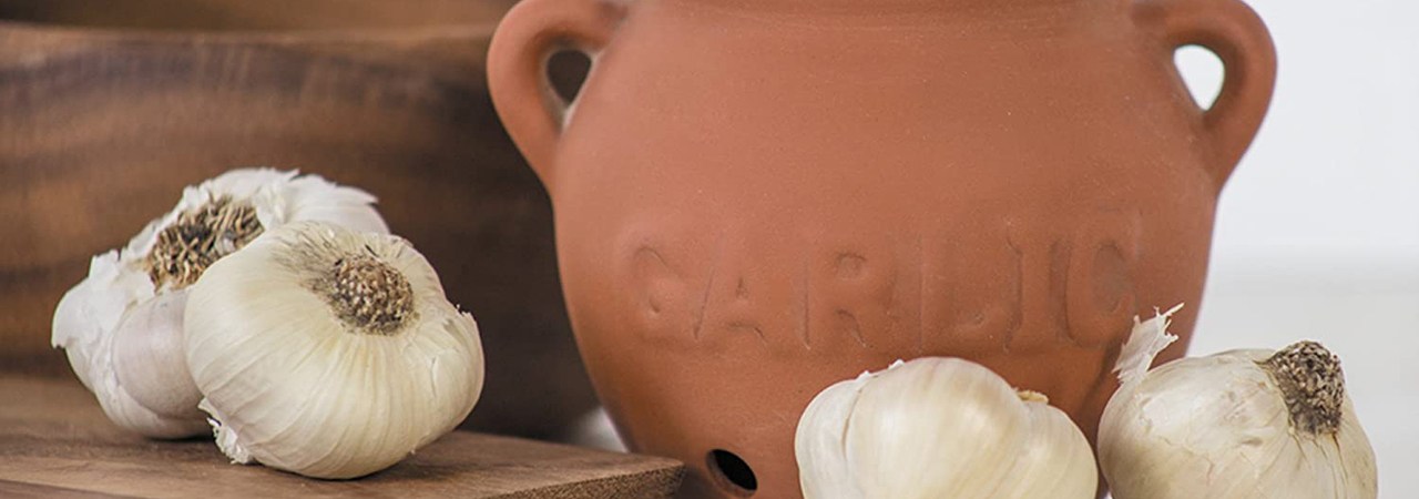 5 Best Garlic Keepers - June 2026 - BestReviews