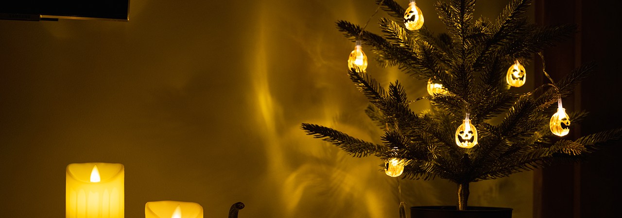 5 Best Halloween Trees - May 2026 - BestReviews