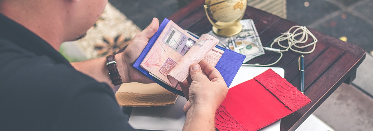 5 Best Passport Covers Dec 2024 Bestreviews