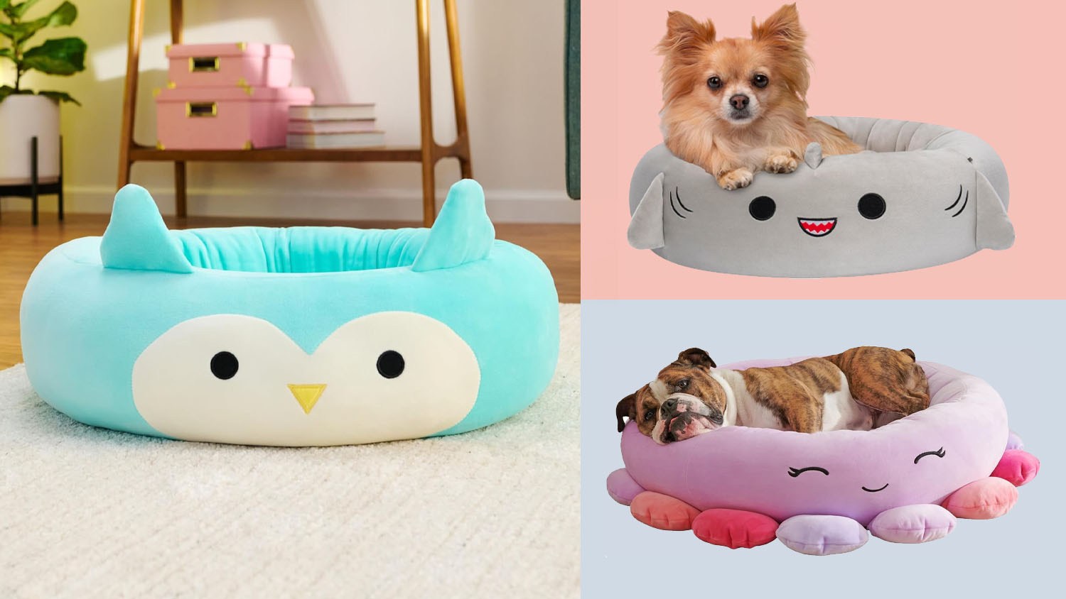 Squishmallow makes pet beds and they're as cute as you think