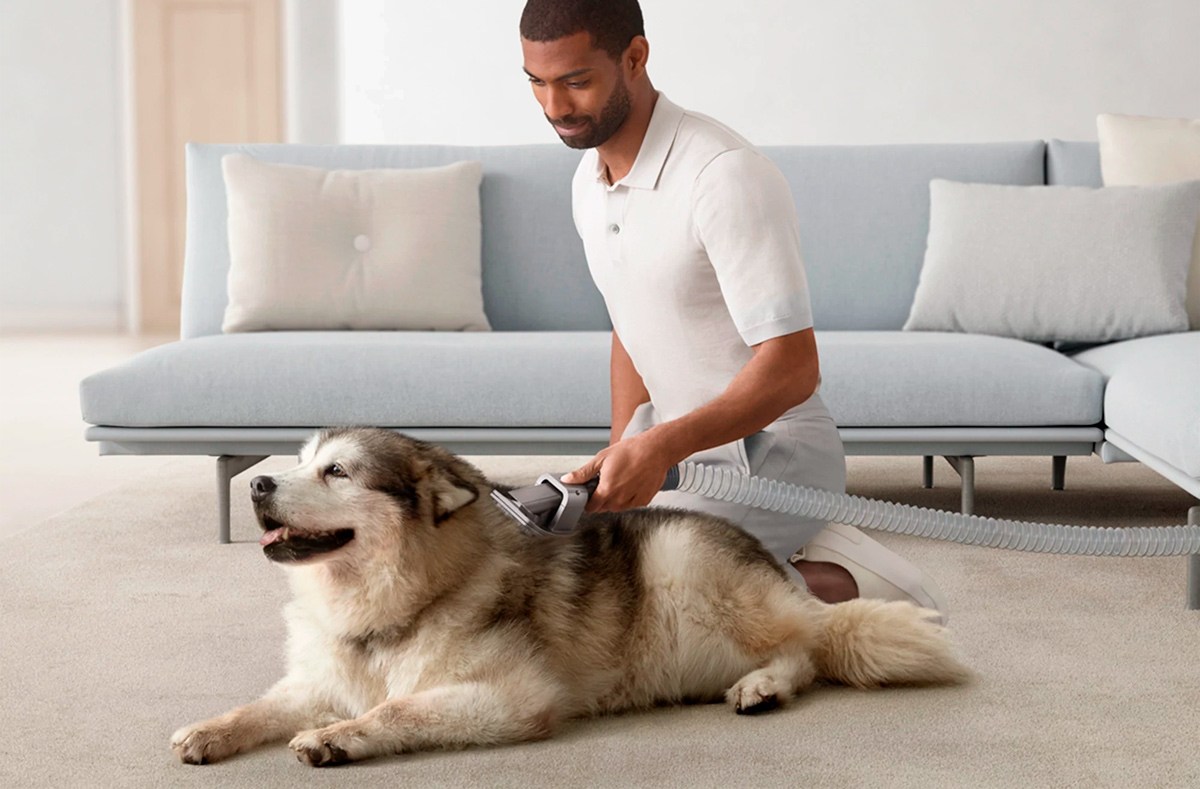 Dog owners, rejoice: Dyson has a pet grooming attachment now