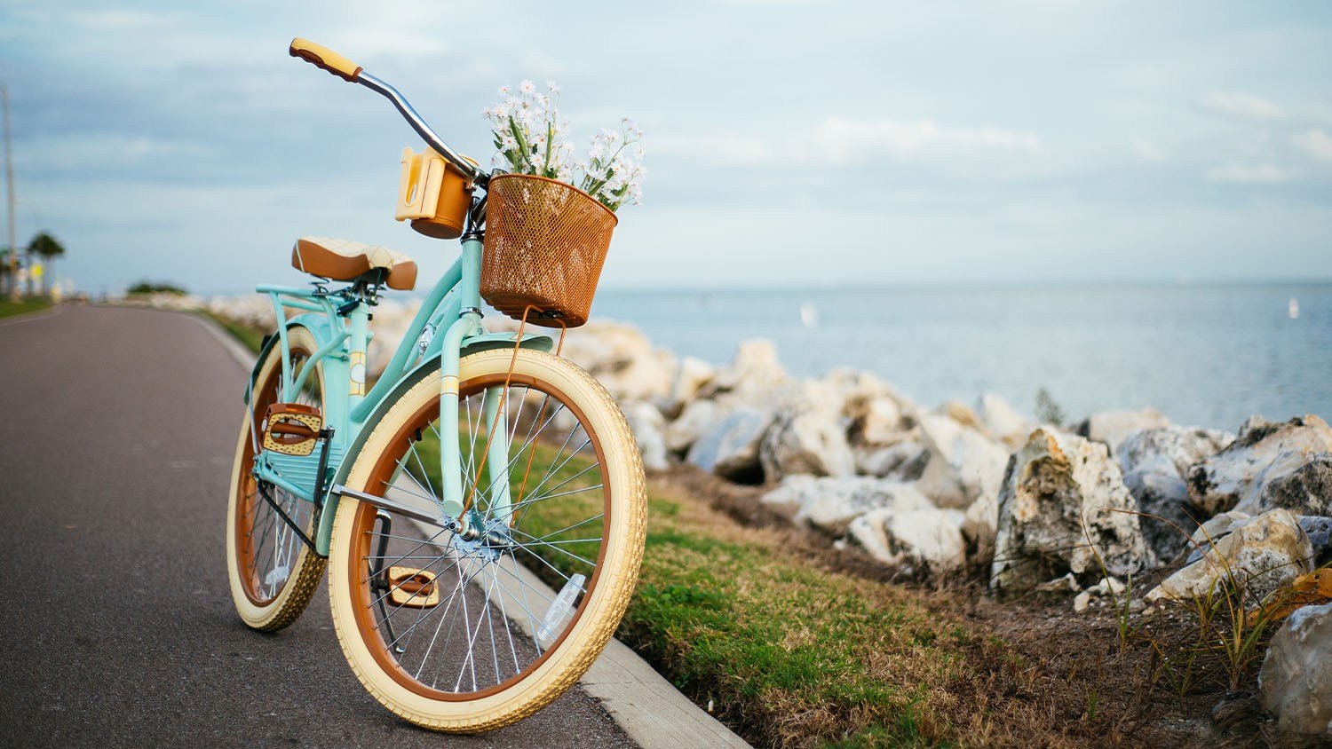 Cruisers are the perfect summer bike and Walmart has them starting at $128