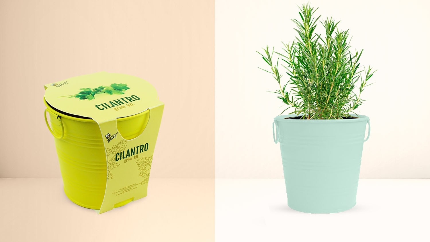 Five Below’s spring herb grow kits are adorable — and practically free