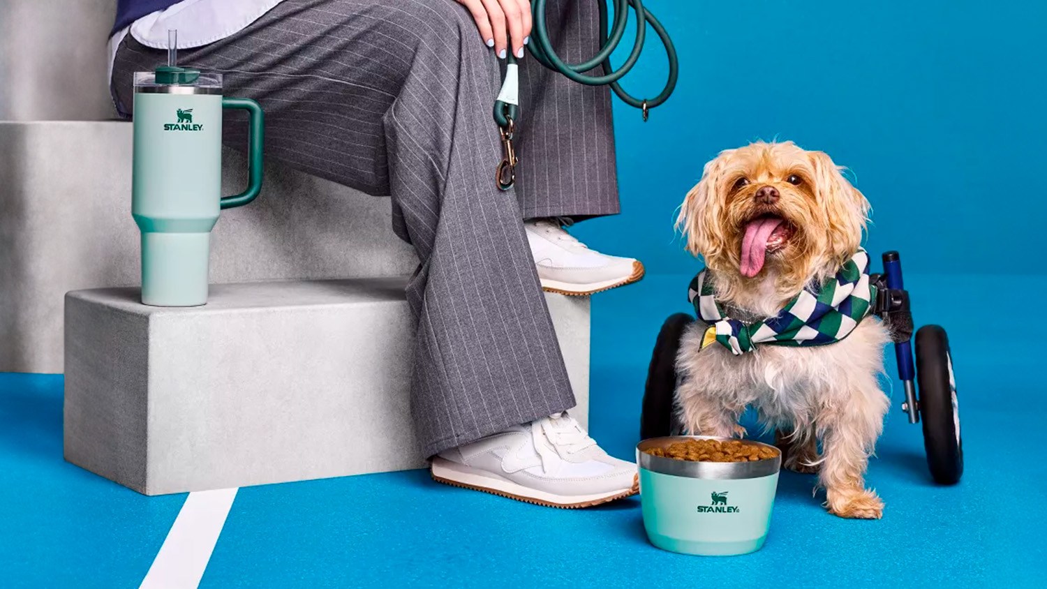 Target’s new ‘Cuddle Collab’ has matching Stanley cups for your pet