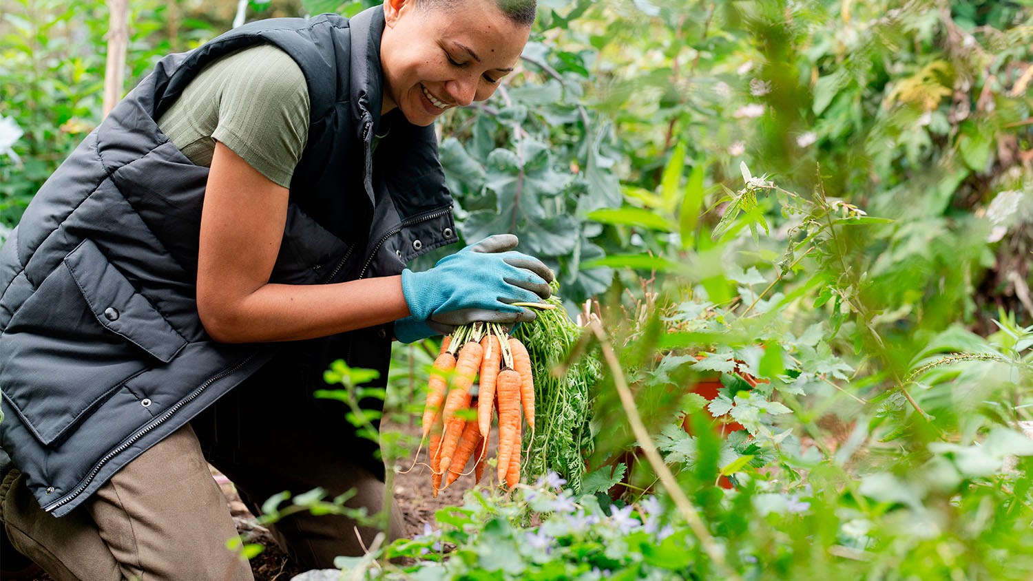 What to plant in April: Best vegetables and flowers to grow