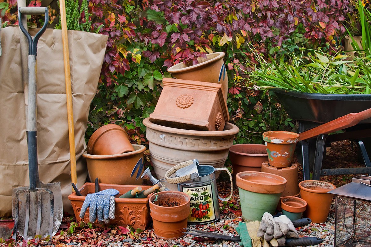 How to prep your yard and garden for fall