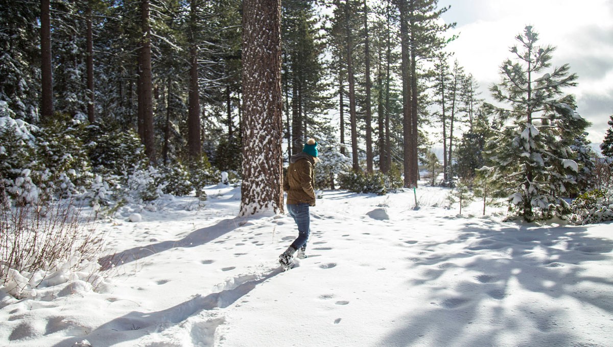 The Old Farmer’s Almanac predicts a cold, snowy winter