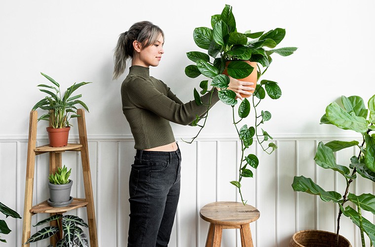 10 stylish shelf planters that are sure to look great in any home
