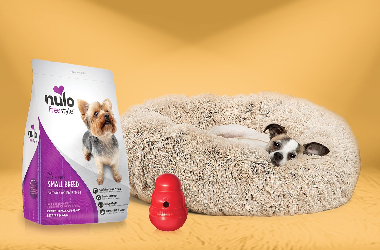 French bulldogs surpass Labrador retrievers to become America’s ...