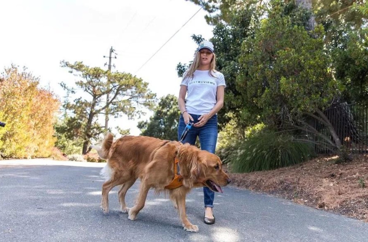 6 dog-walking must-haves