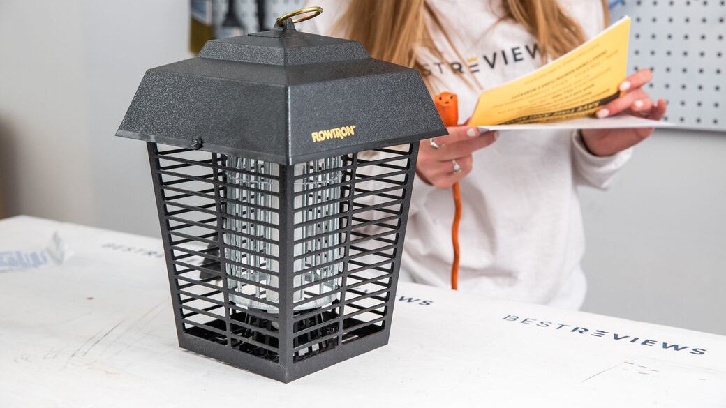 Chemical-free fly traps are going viral: Here are the ones worth buying