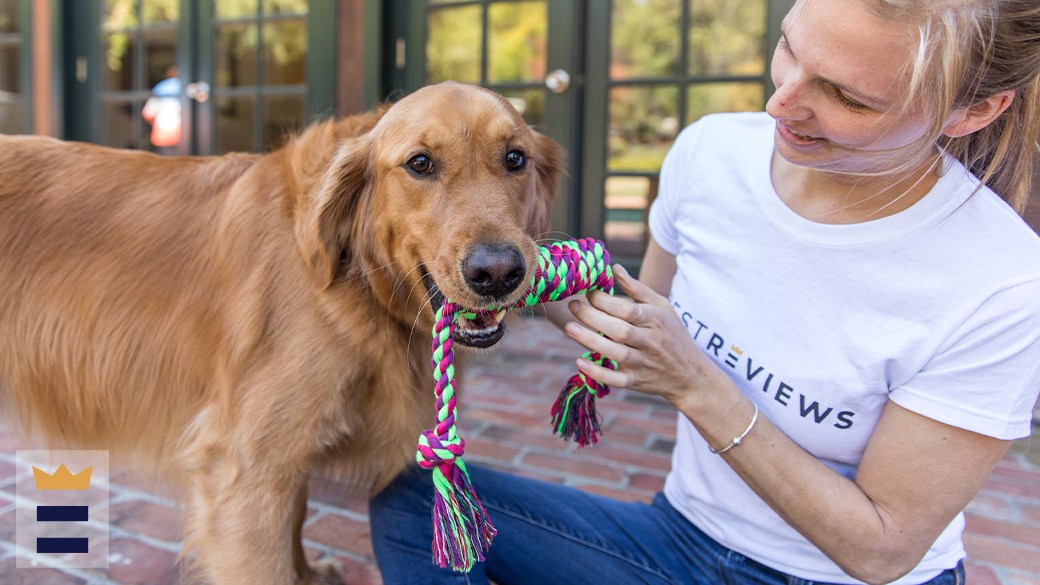 Best Chuckit! dog toy