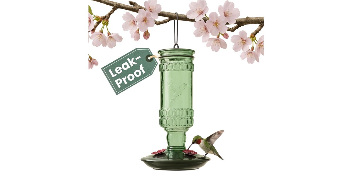 The 2026 hummingbird spring migration map shows when they’ll be in your ...