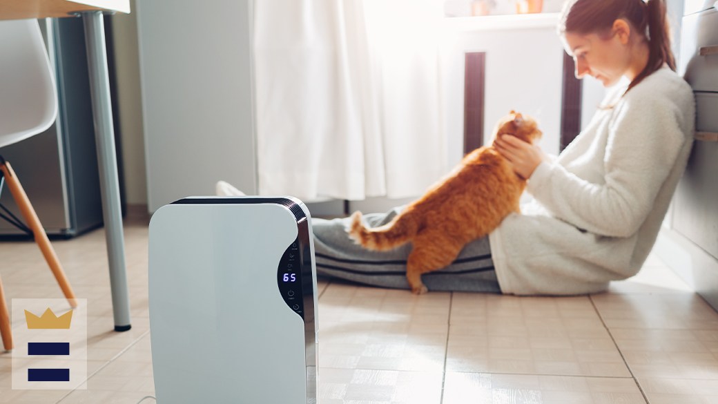 The best air purifier for pet dander