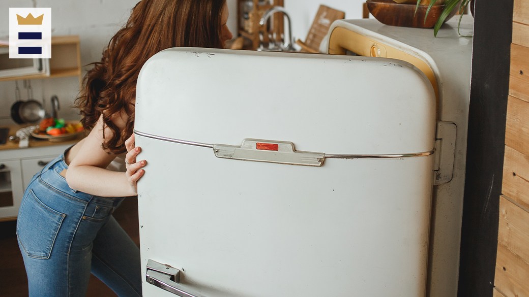 Evolution of the refrigerator