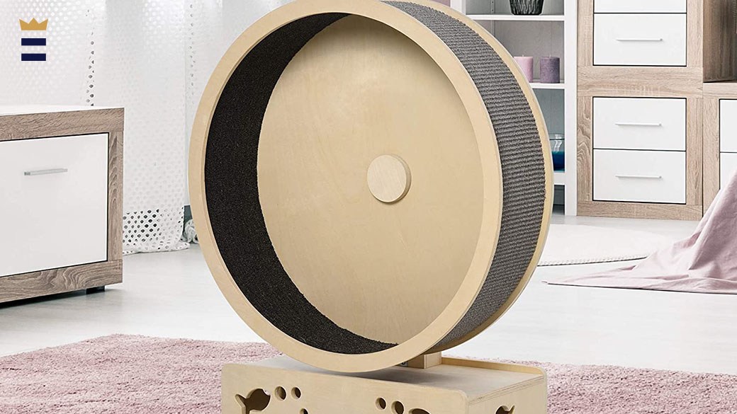Best cat exercise wheel