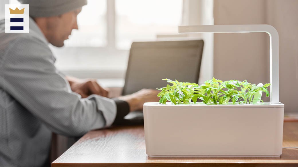 Best smart garden
