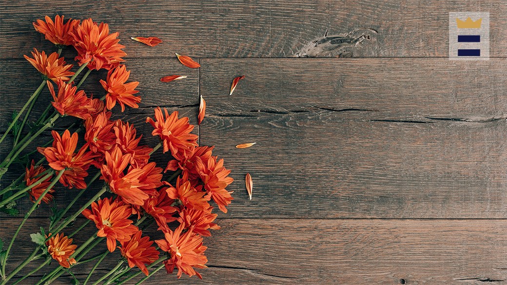 Best fall flower