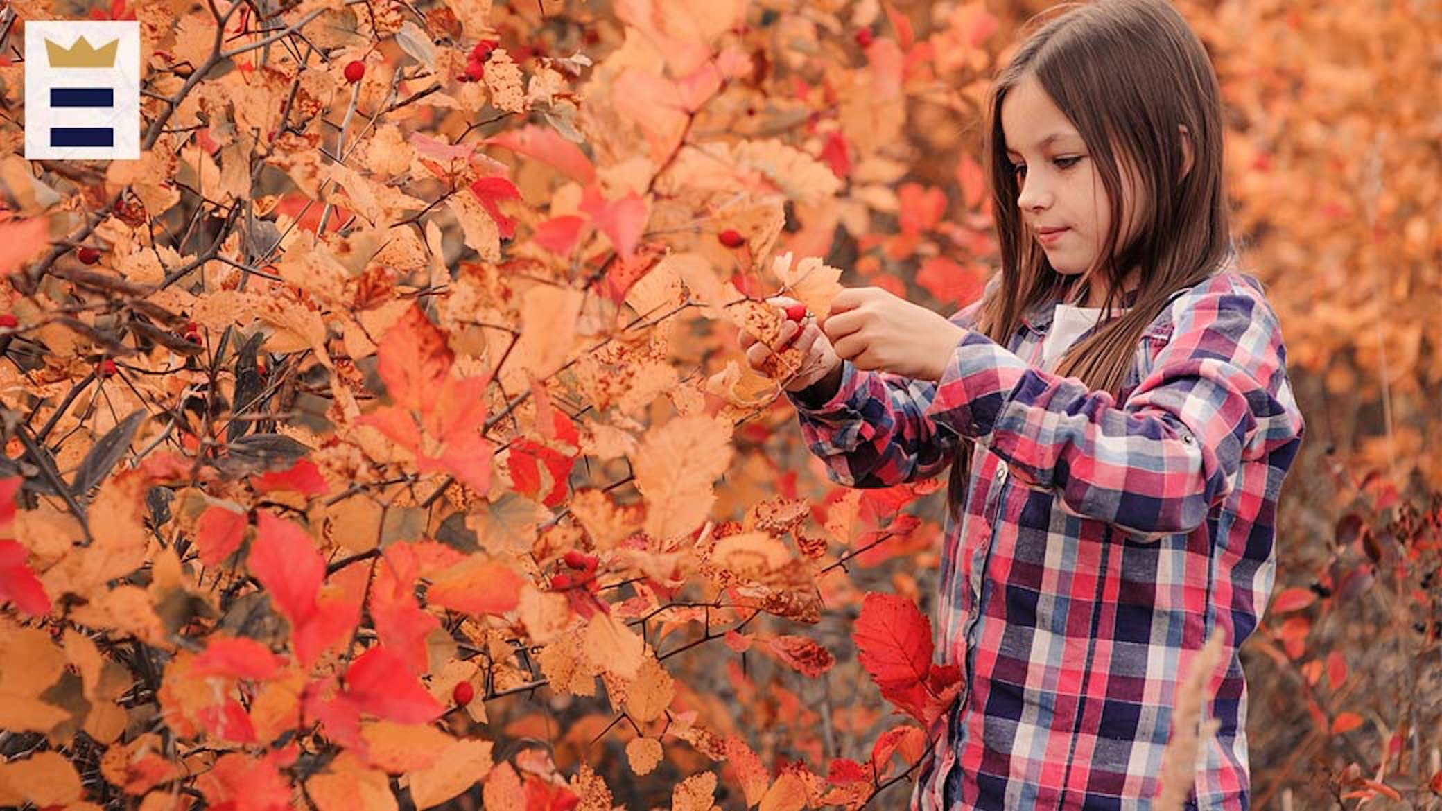 Best fall shirts for kids