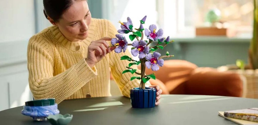 LEGO adds another flower to its coveted ‘Botanicals’ collection