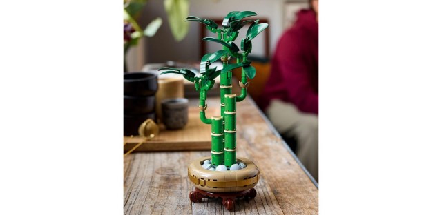 LEGO adds another flower to its coveted ‘Botanicals’ collection