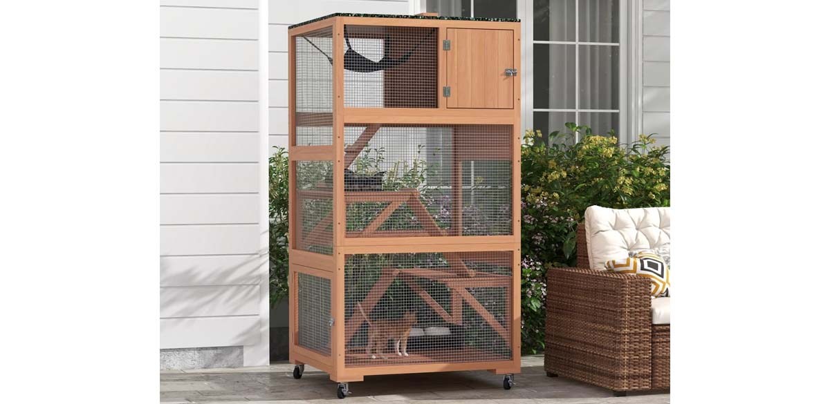 Catios are trending — here’s how to give your feline friend an outdoor ...