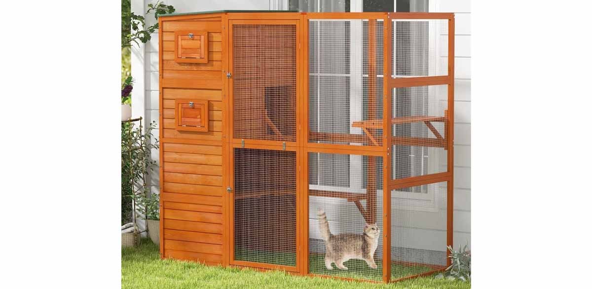 Catios are trending — here’s how to give your feline friend an outdoor ...