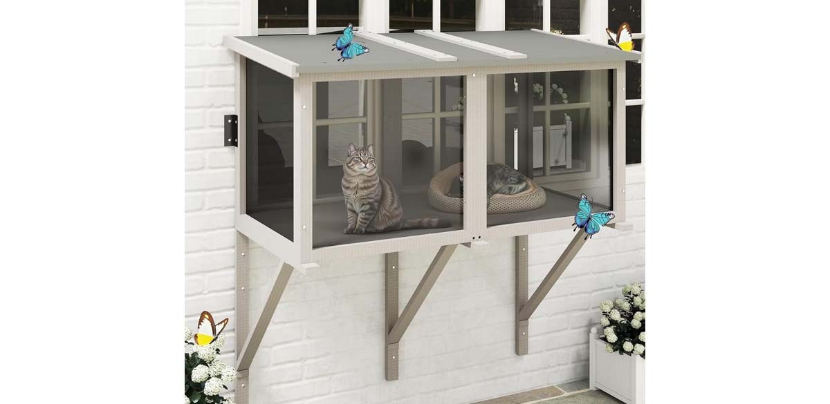 Catios are trending — here’s how to give your feline friend an outdoor ...